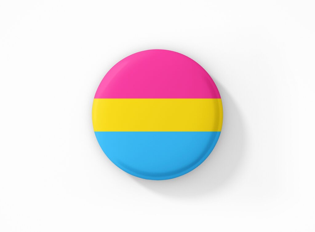 Vintage Style Button Badge - Pansexual Badges Pride Flag - THE PRIDE SHOP