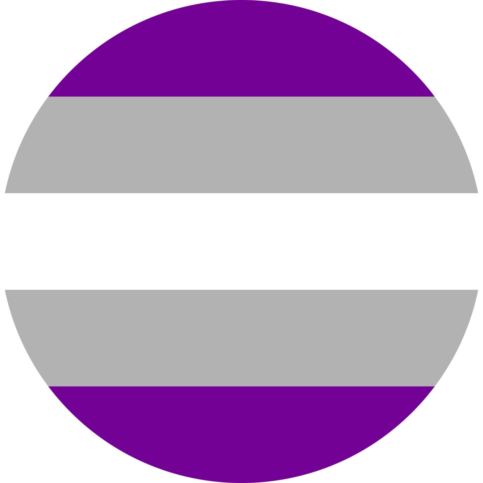 LGBTQ+ Pride Flags and What They All Mean - THE PRIDE SHOP®