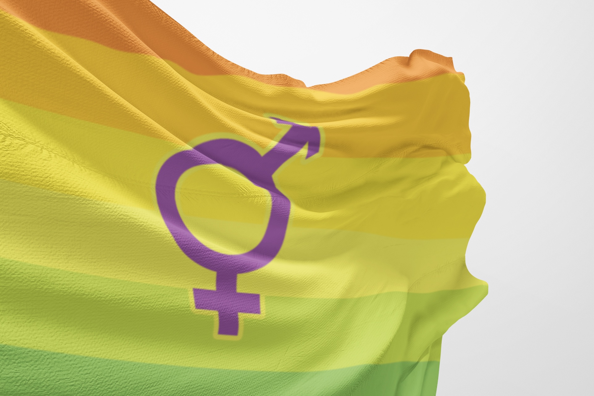 Hermaphrodite Pride Flag (5ft x 3ft) Premium Flag - THE PRIDE SHOP