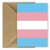 Transgender Pride Flag Card Rectangle - THE PRIDE SHOP